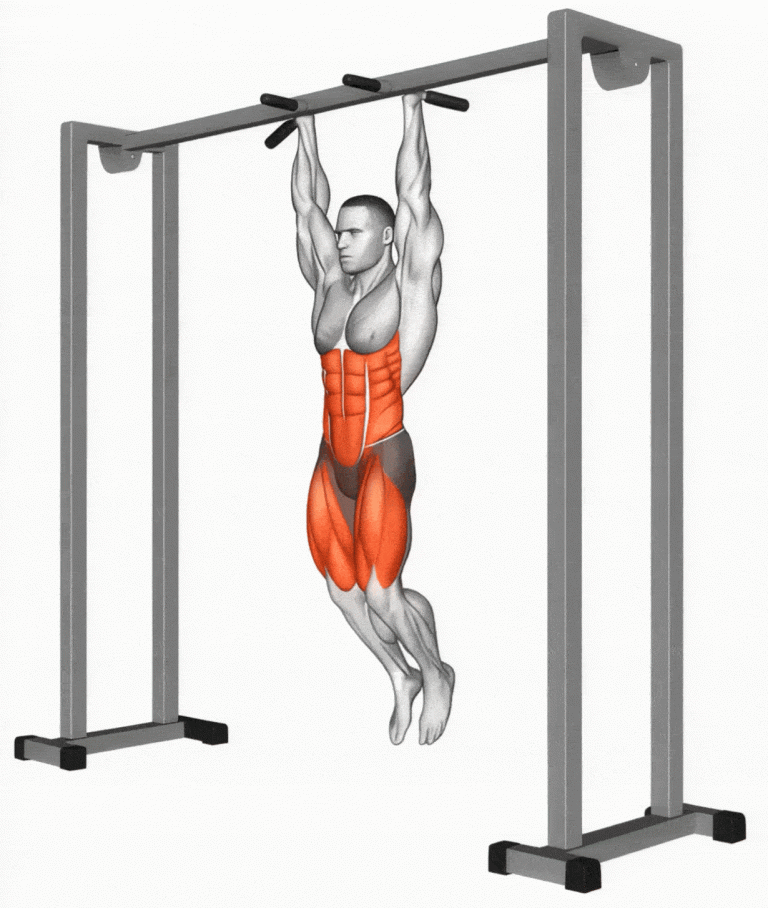 Gym GIFs | Professional Animated Gym Exercises