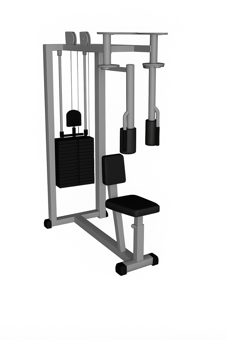 Gym Equipment: Functions, Benefits & 3D Visual Education