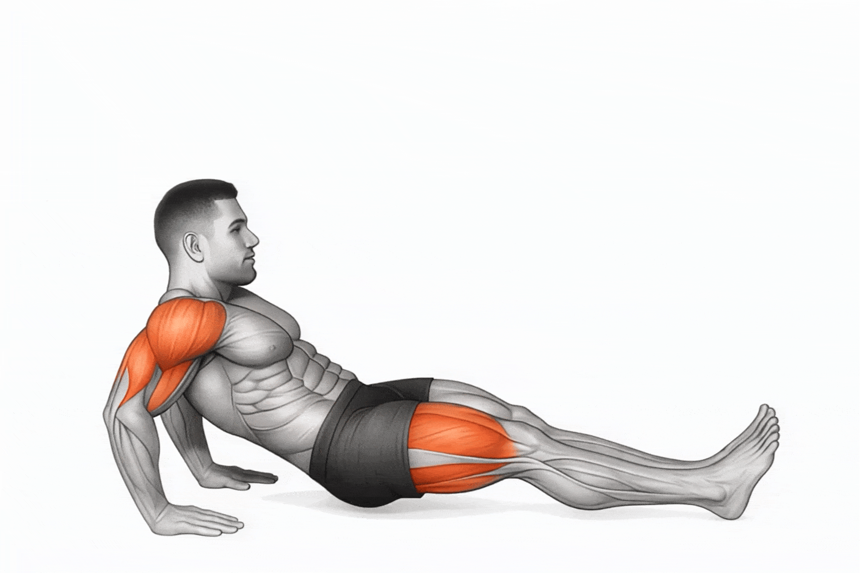 Explore Demos – Free 3D Gym Animations Samples | Gym Animations