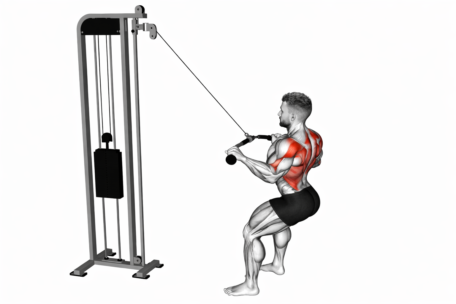 Cable Lat Pulldown | Back & Lat Exercise Animations