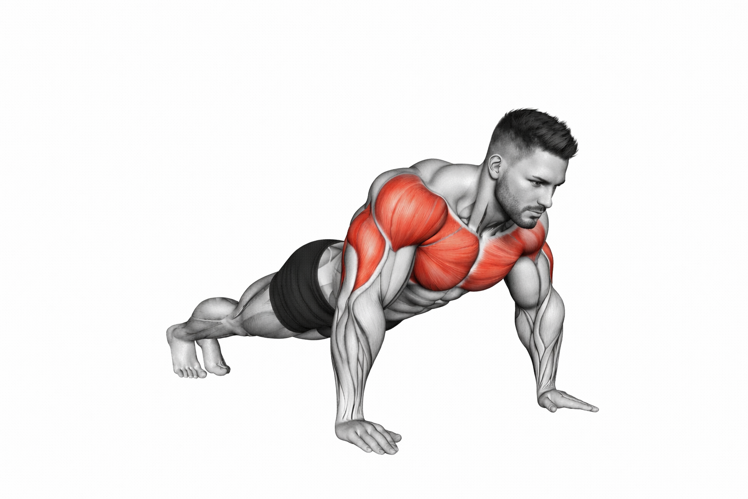 Push Up GIF