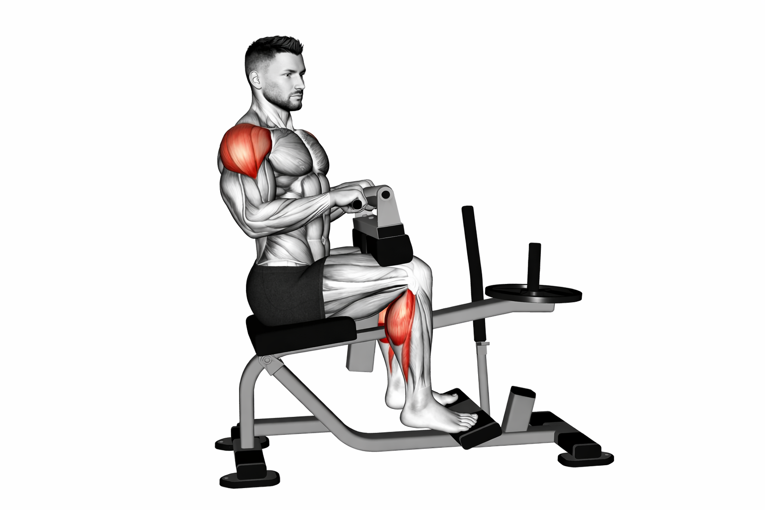 Calf Raises GIF | Lower Leg Exercise Animations