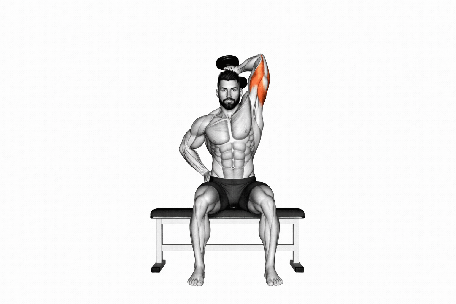 Dumbbell One Arm Triceps Extension | Exercise GIF