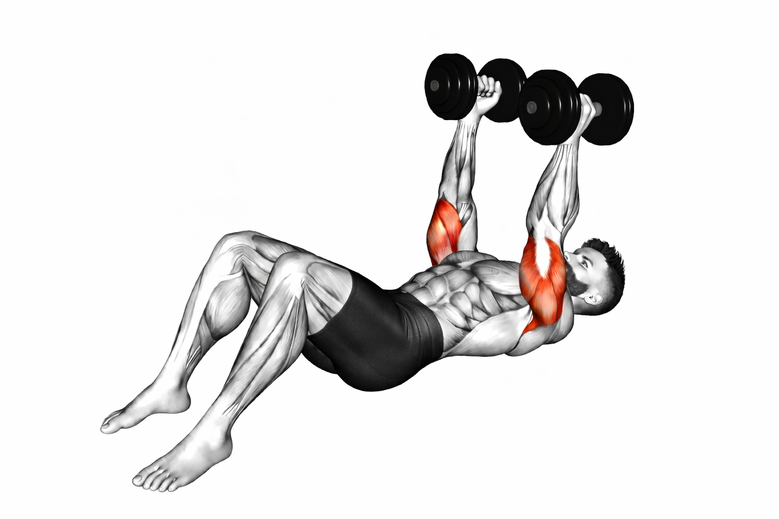 Dumbbell Skull Crusher GIF | Triceps Exercise