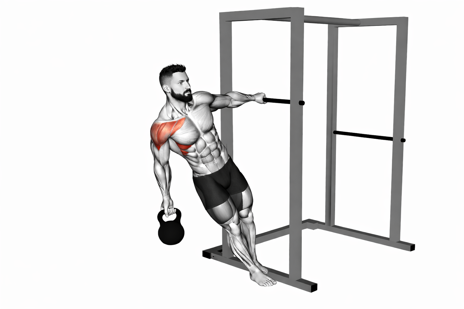 Kettlebell Front Raise | Shoulder Exercise GIF