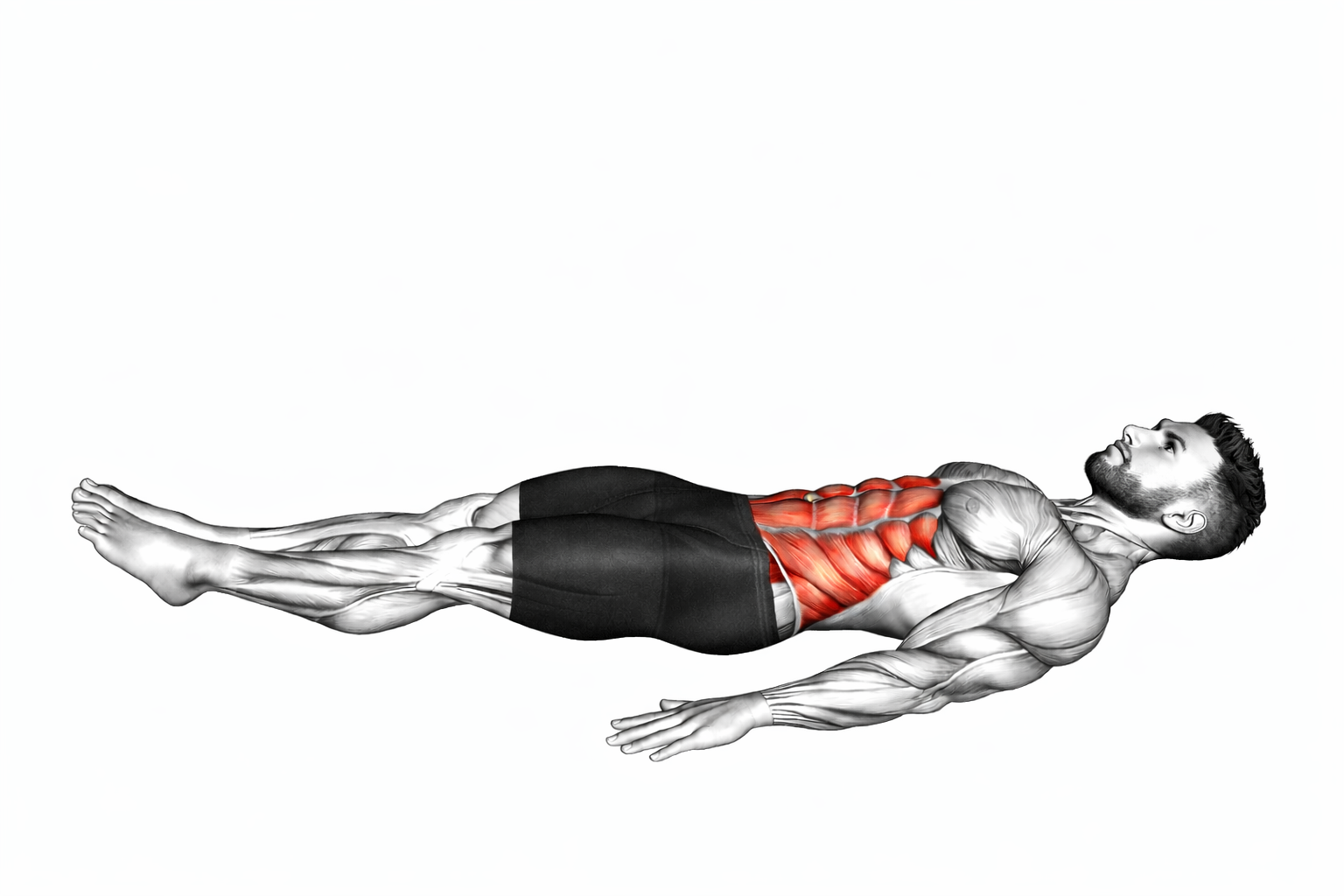 Reverse Crunches GIF | Lower Abs Exercise Animations