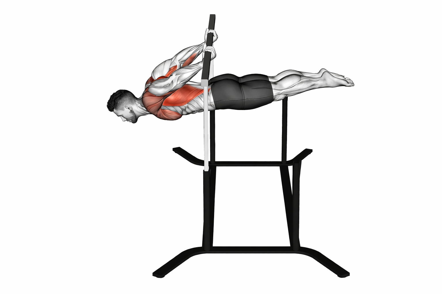 Back Lever | Advanced Calisthenics Exercise Animations