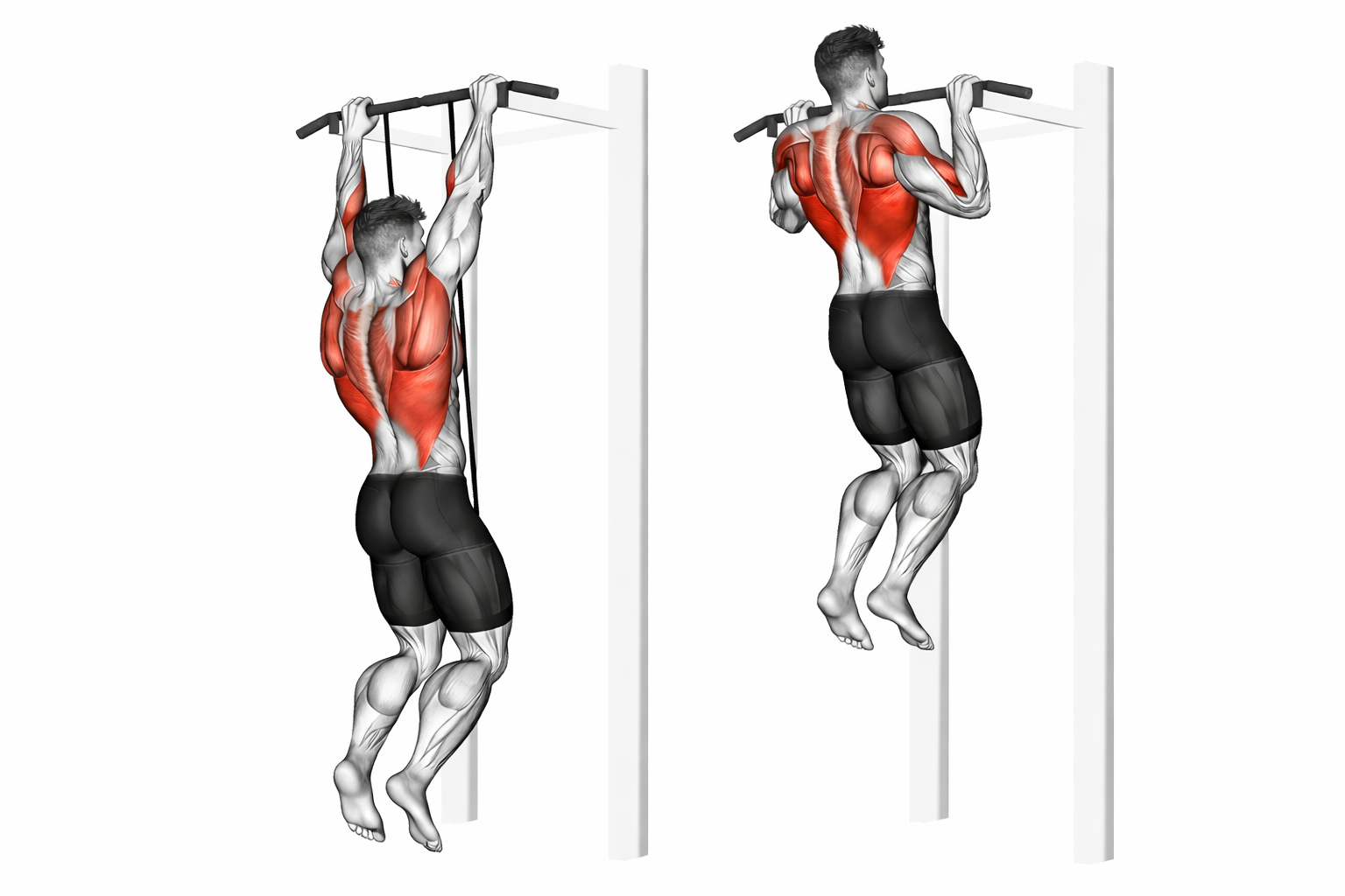 Band Assisted Pull Up | Pull-Up Progression Animations