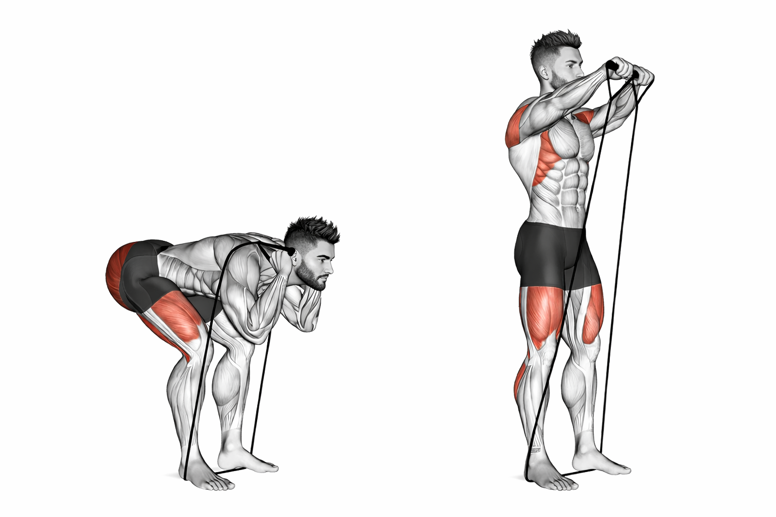 Band Good Morning | Posterior Chain Exercise Animations