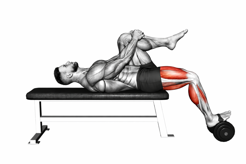 Raise Knee | Core & Hip Flexor Exercise Animations