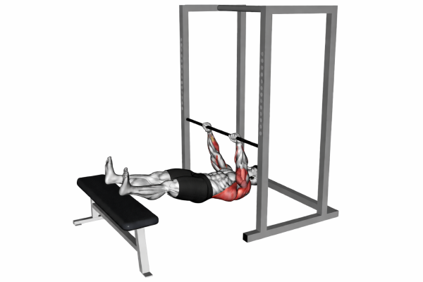 Inverted Rows | Bodyweight Back Exercise Animations