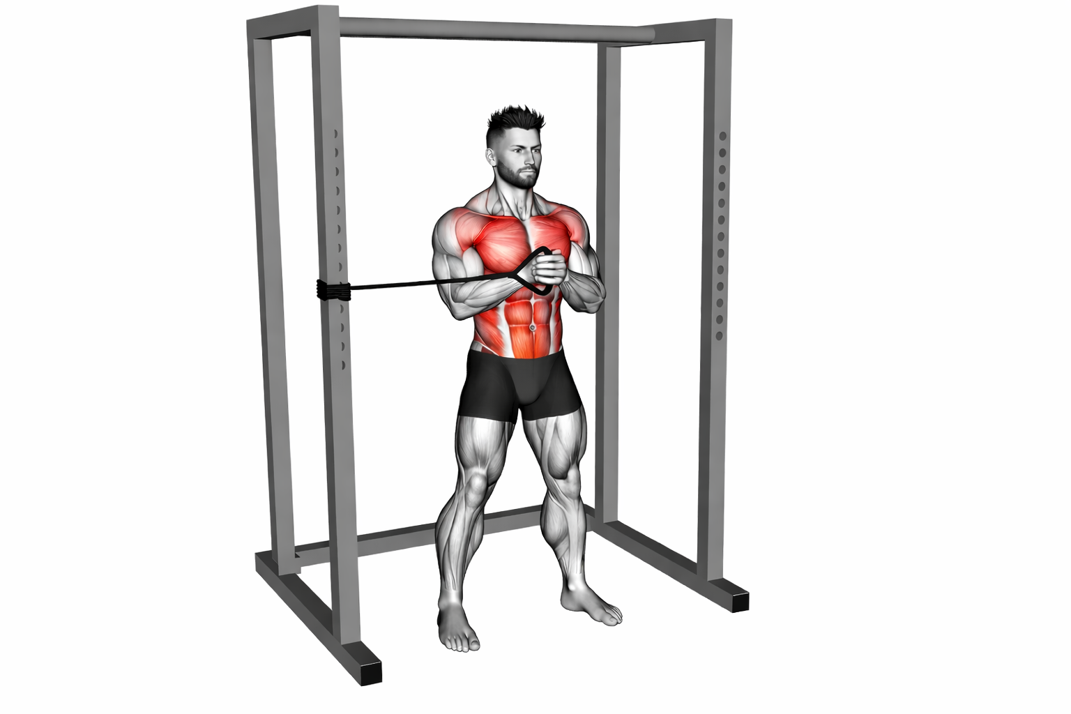 Pallof Press | Anti-Rotation Core Exercise Animations