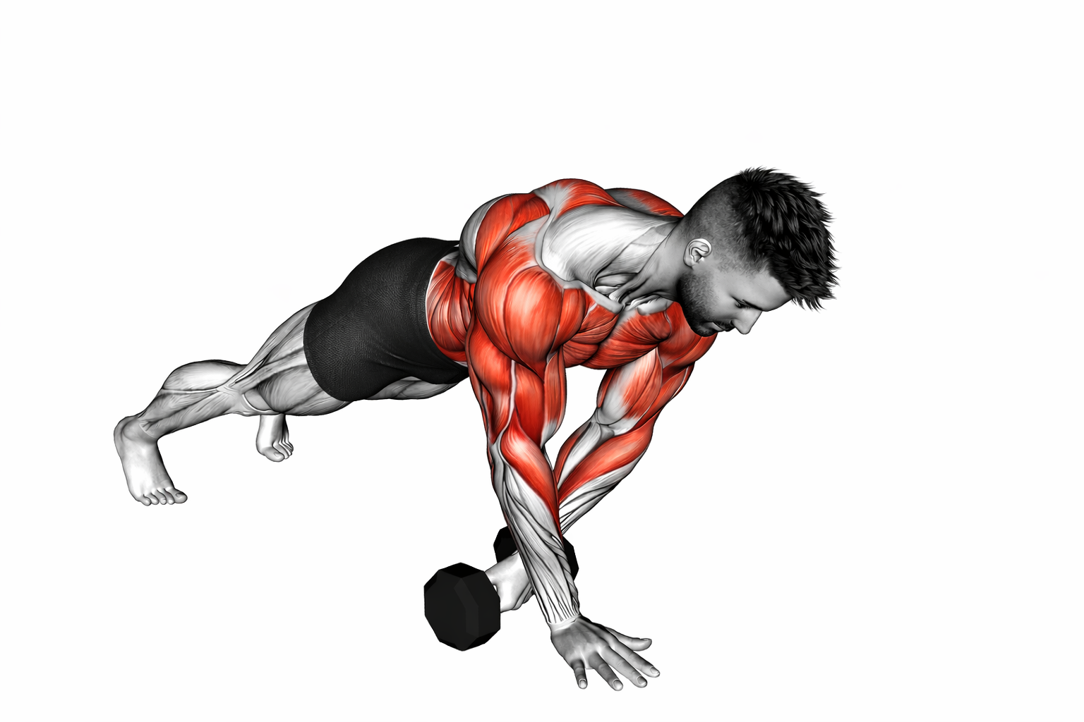 Pass Throughs | Shoulder Mobility Exercise Animations