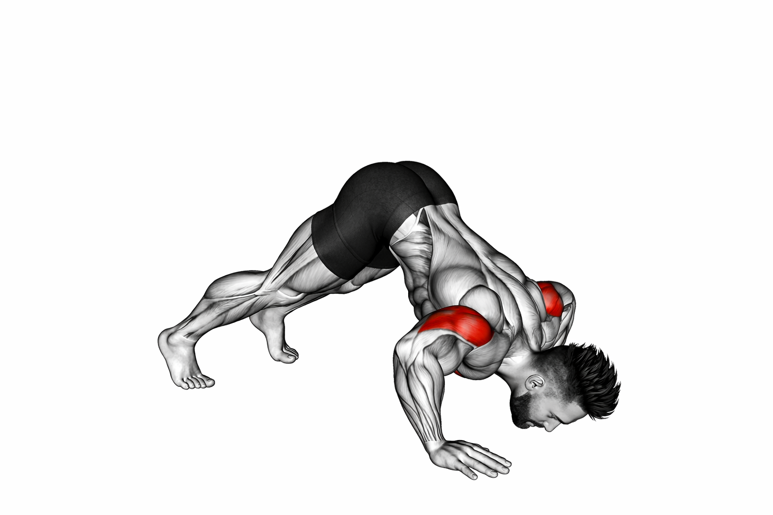 Pike Push-Ups | Shoulder & Bodyweight Exercise Animations