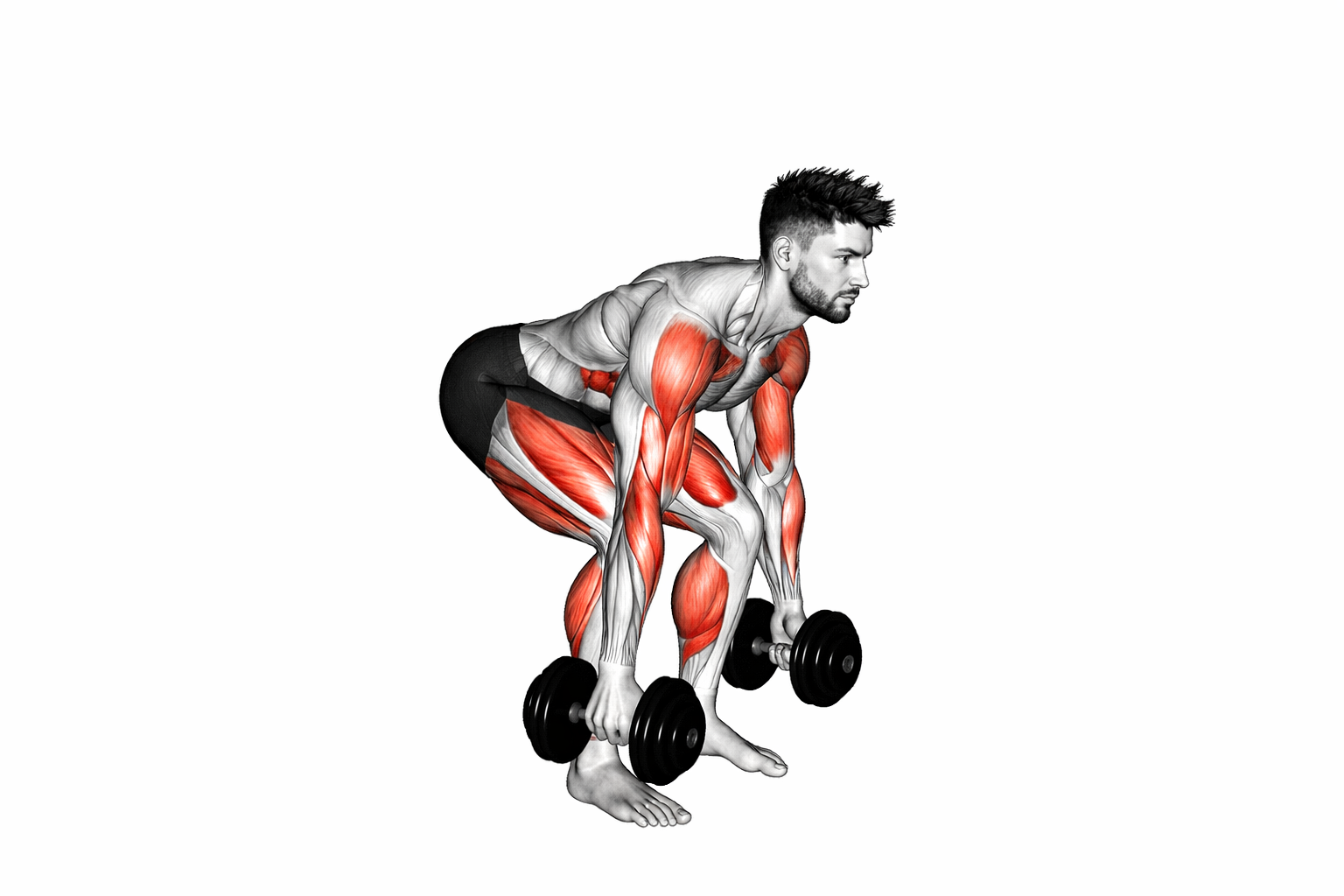 Power Clean | Explosive Strength Exercise Animations