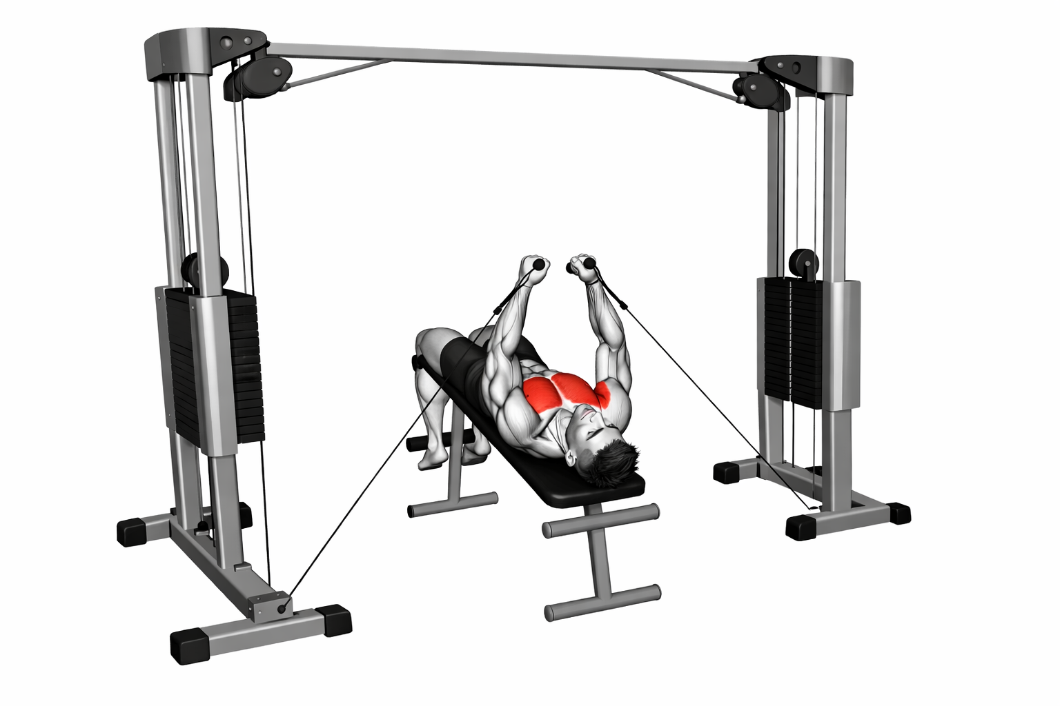 Cable Decline Fly | Lower Chest Exercise Animations