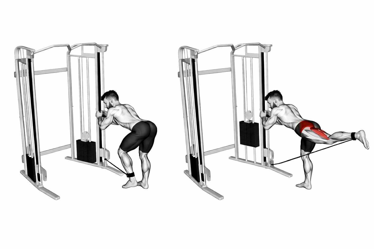 Cable Donkey Kickback | Glute Exercise Animations