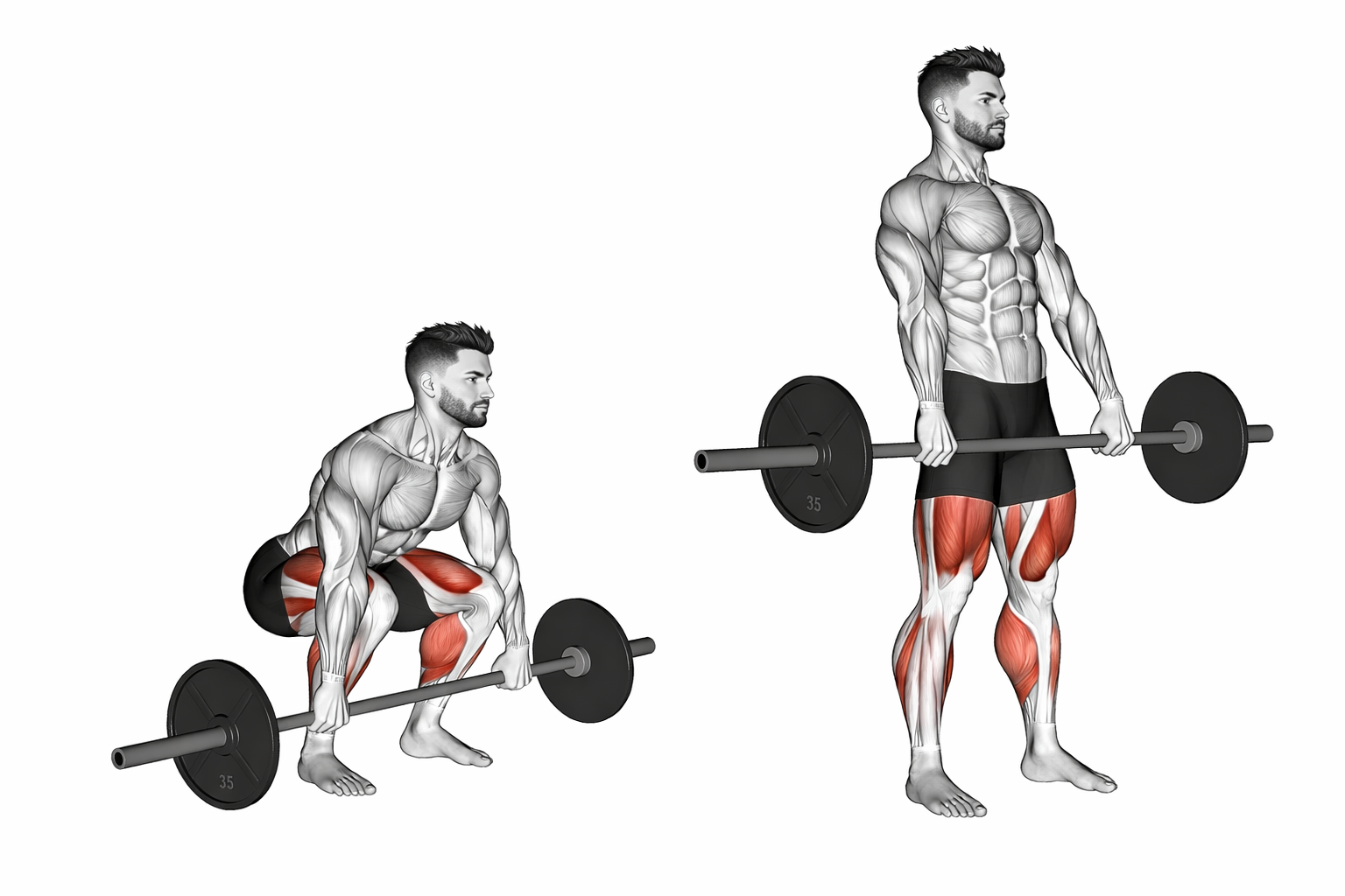 Barbell Clean and Press | Full-Body Exercise Animations