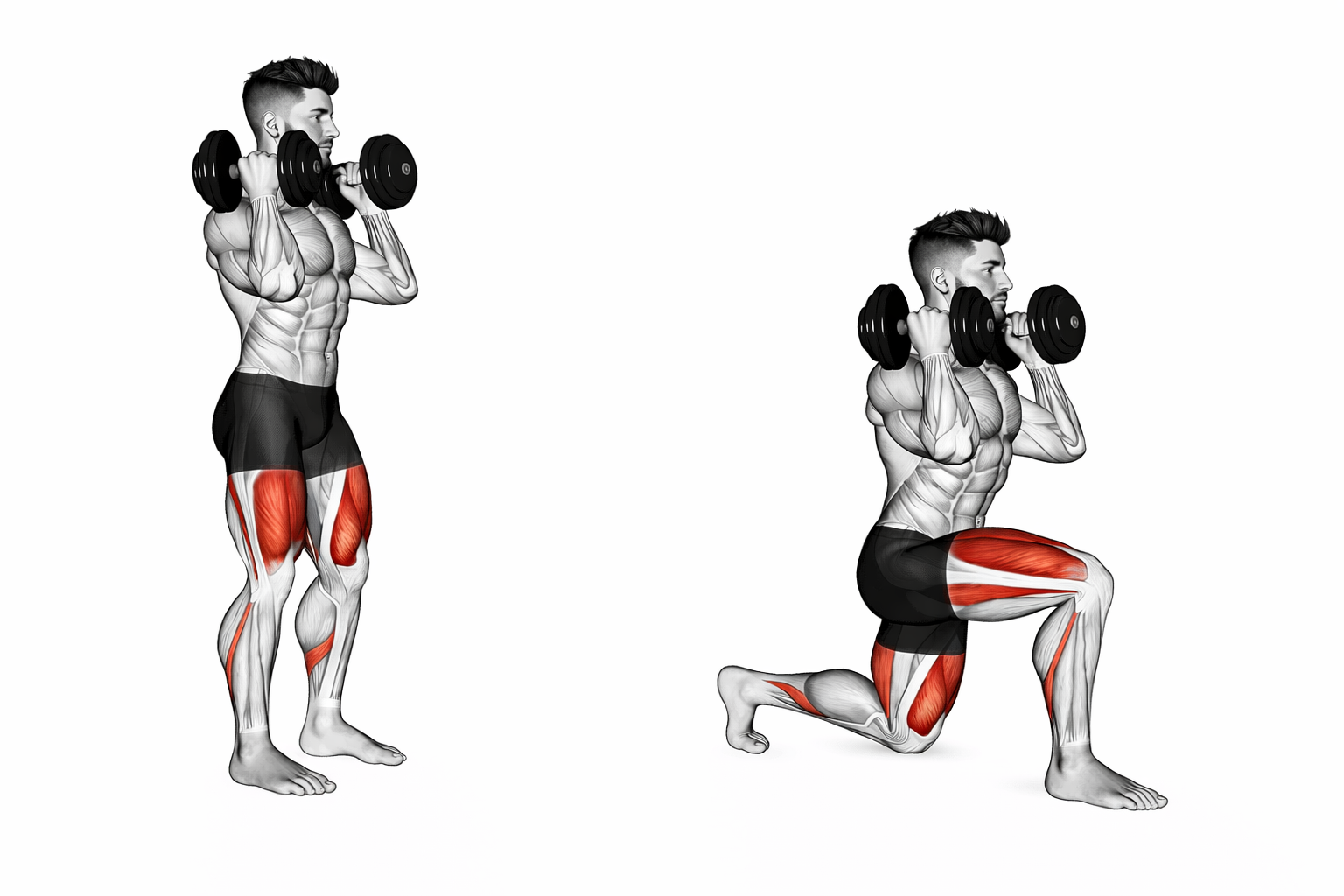 Dumbbell Front Rack Lunge | Leg & Core Exercise Animations