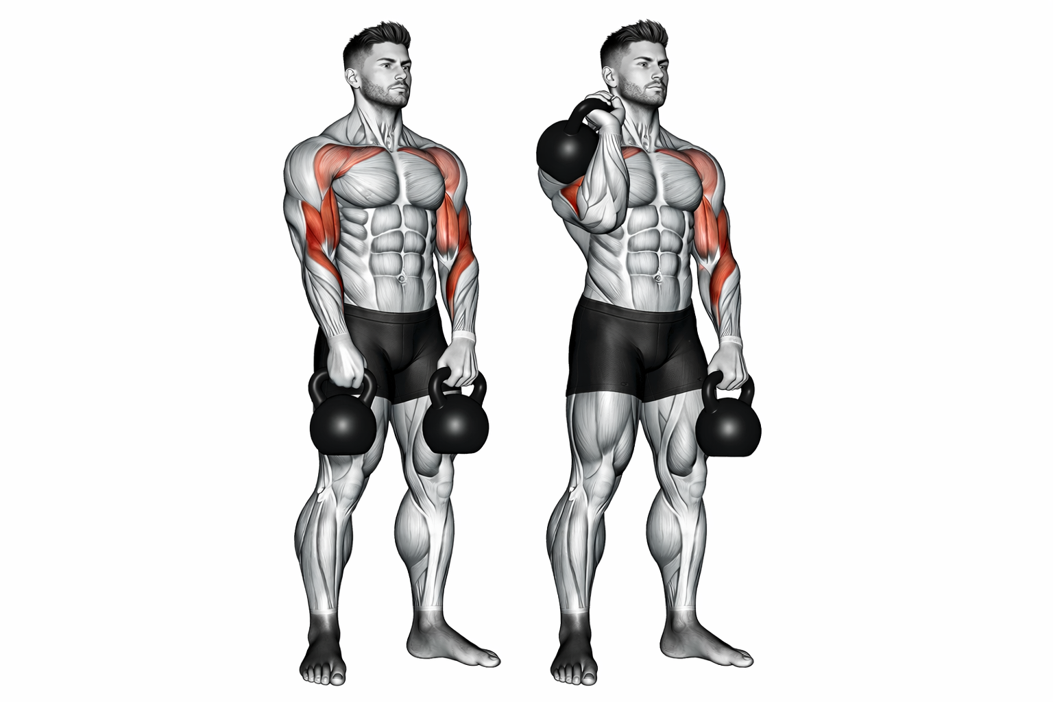 Kettlebell Alternating Hang Clean | Power Exercise Animations
