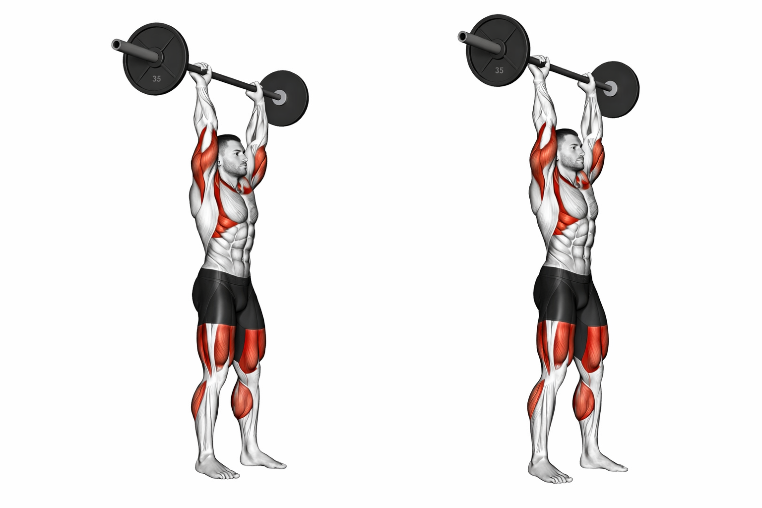 Barbell Overhead Carry | Overhead Stability Exercise Animation