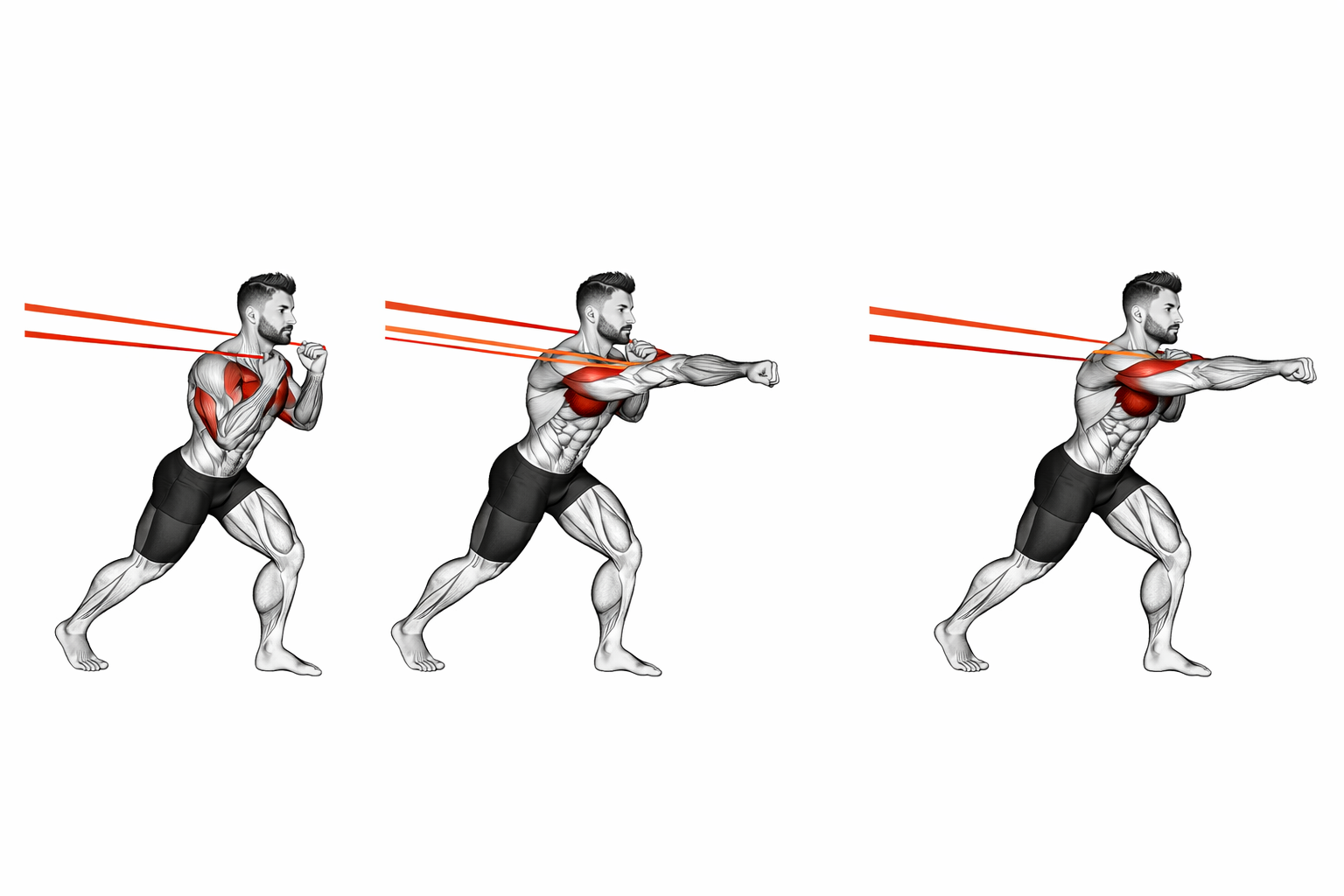 Resistance Band Punch | Band Shoulder Exercise Animation
