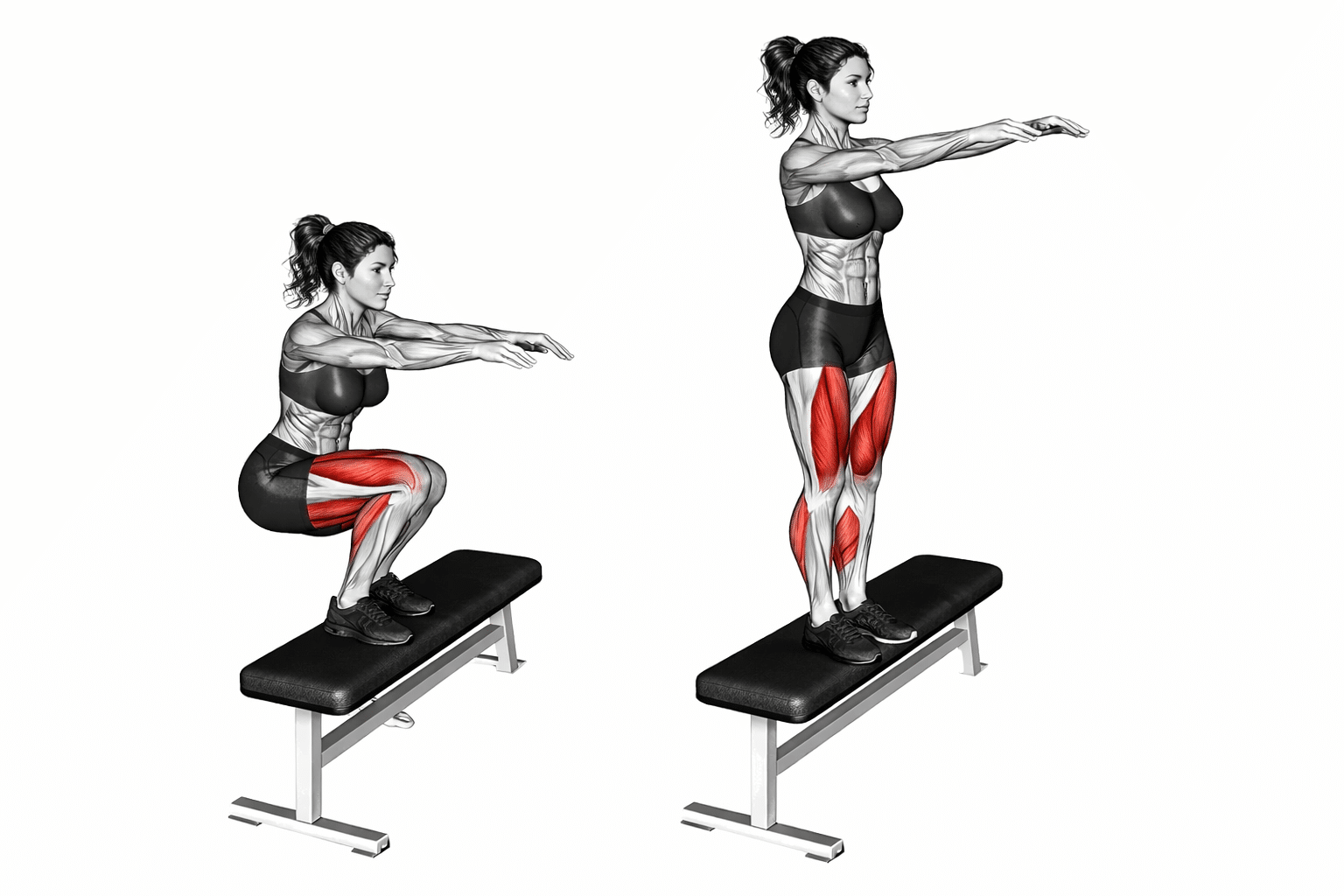 Single Leg Step Up | Step-Up Exercise Animation