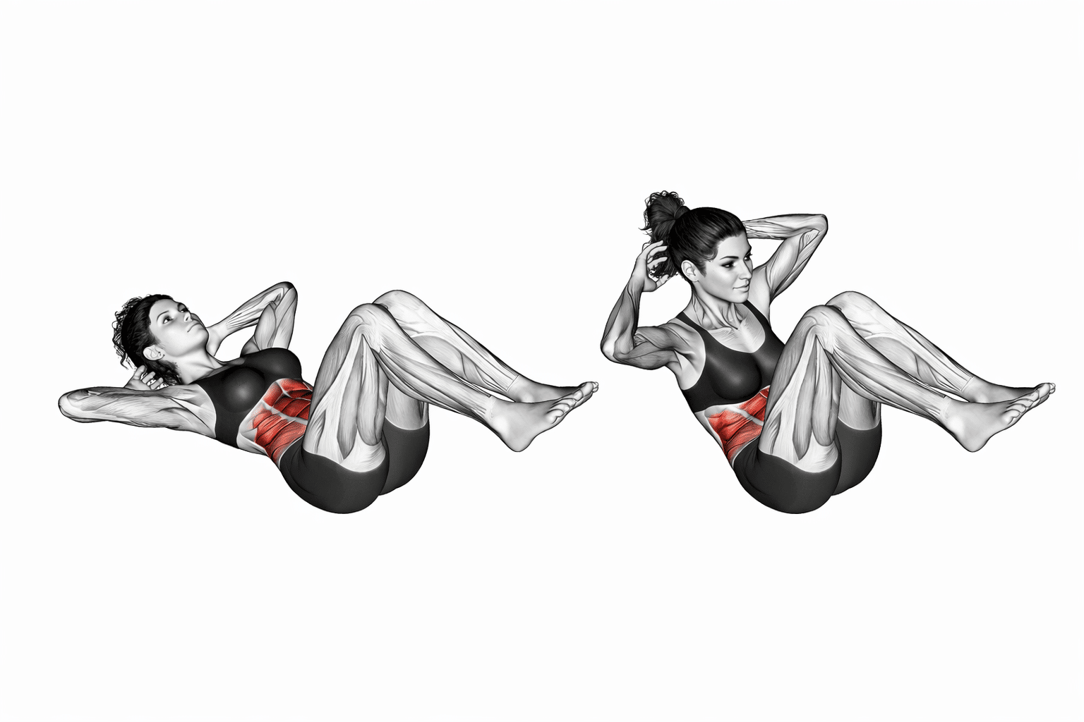 Sit-Up | Abdominal Exercise Animation